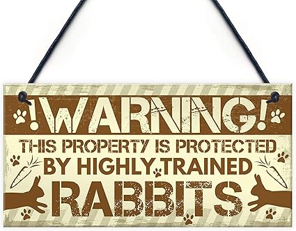 Amazon.com: Meijiafei Beware of The Rabbit Sign Bunny Rabbit Door Sign ...