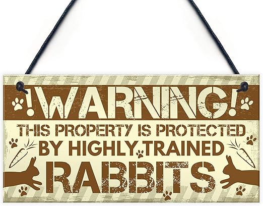 Amazon.com: Meijiafei Beware of The Rabbit Sign Bunny Rabbit Door Sign ...