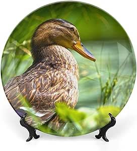 Amazon.com: Water Bird Duck Decorative Plate for Kitchen Accent Ceramic ...