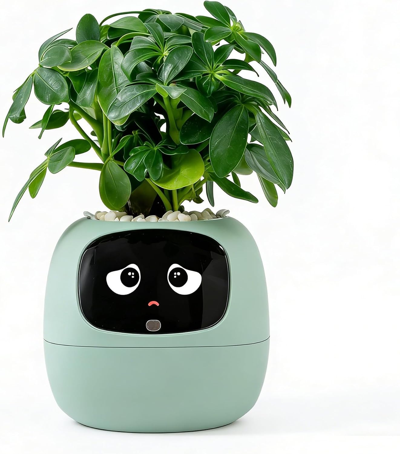 Amazon.com: TPHRAVAL Intelligent Flower Pot, Electronic Bud ...