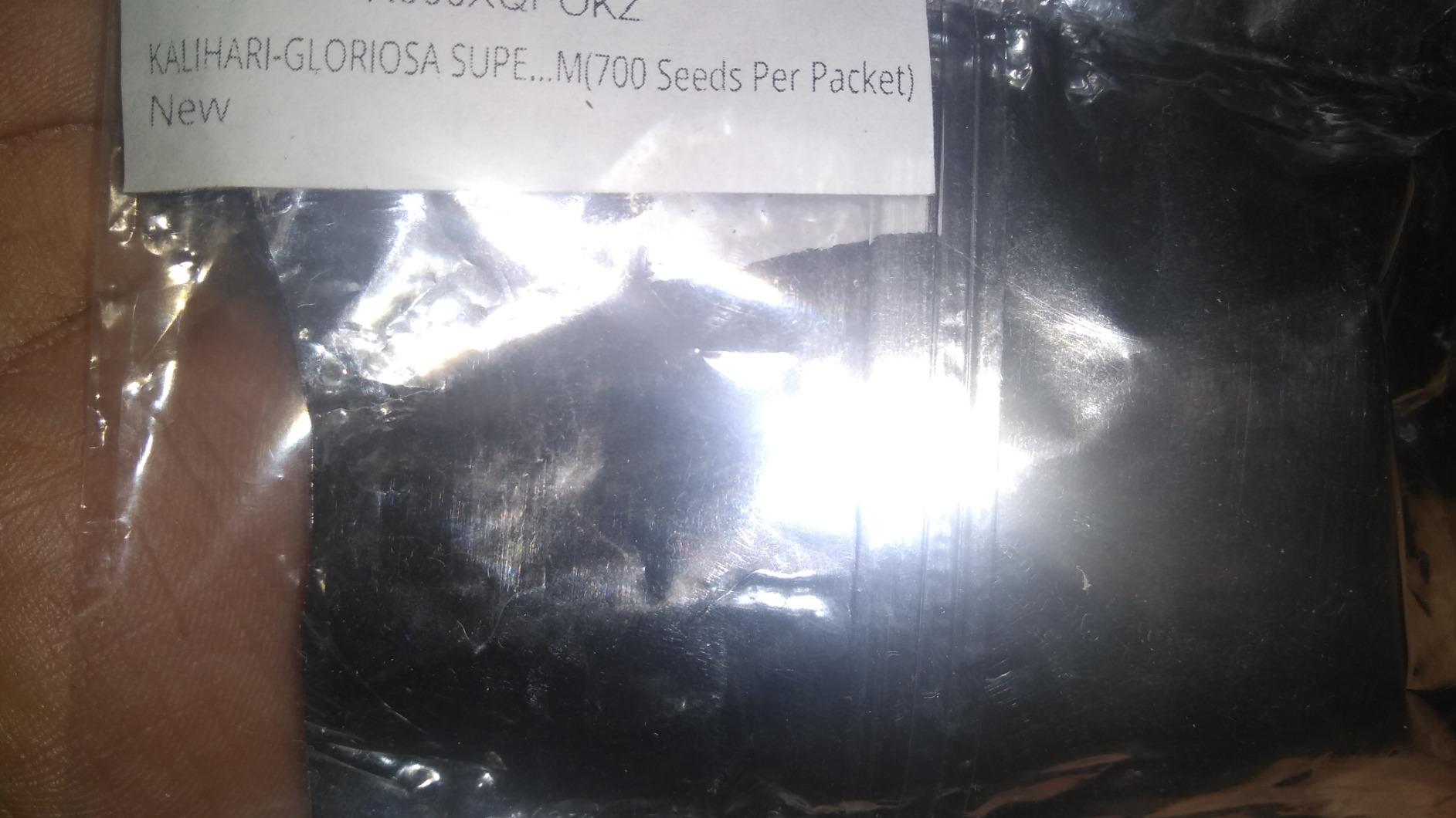 Mgbn The Path For The Healthier Life With Beauty Kalihari-Gloriosa ...