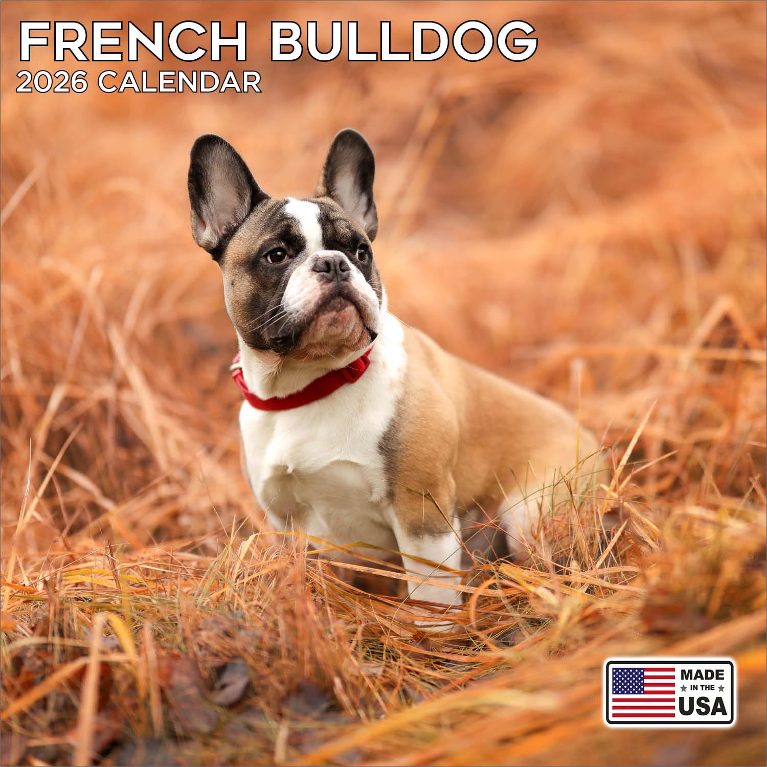 Snapklik.com : 2026 French Bulldog Calendar - Dog Breed Wall Calendar ...