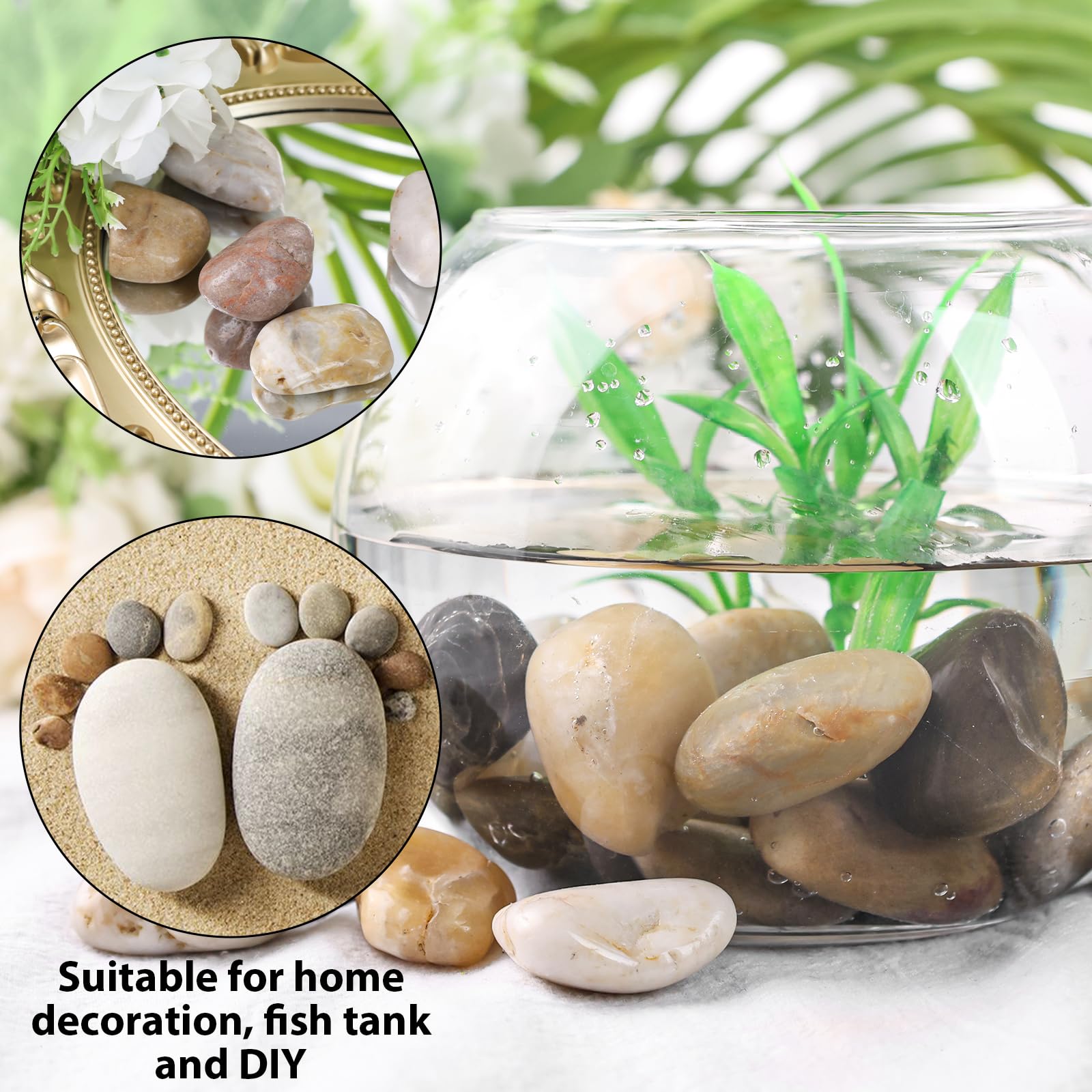 Snapklik.com : 2.5LB Pebbles For Plants, Pebbles Polished Gravel River ...