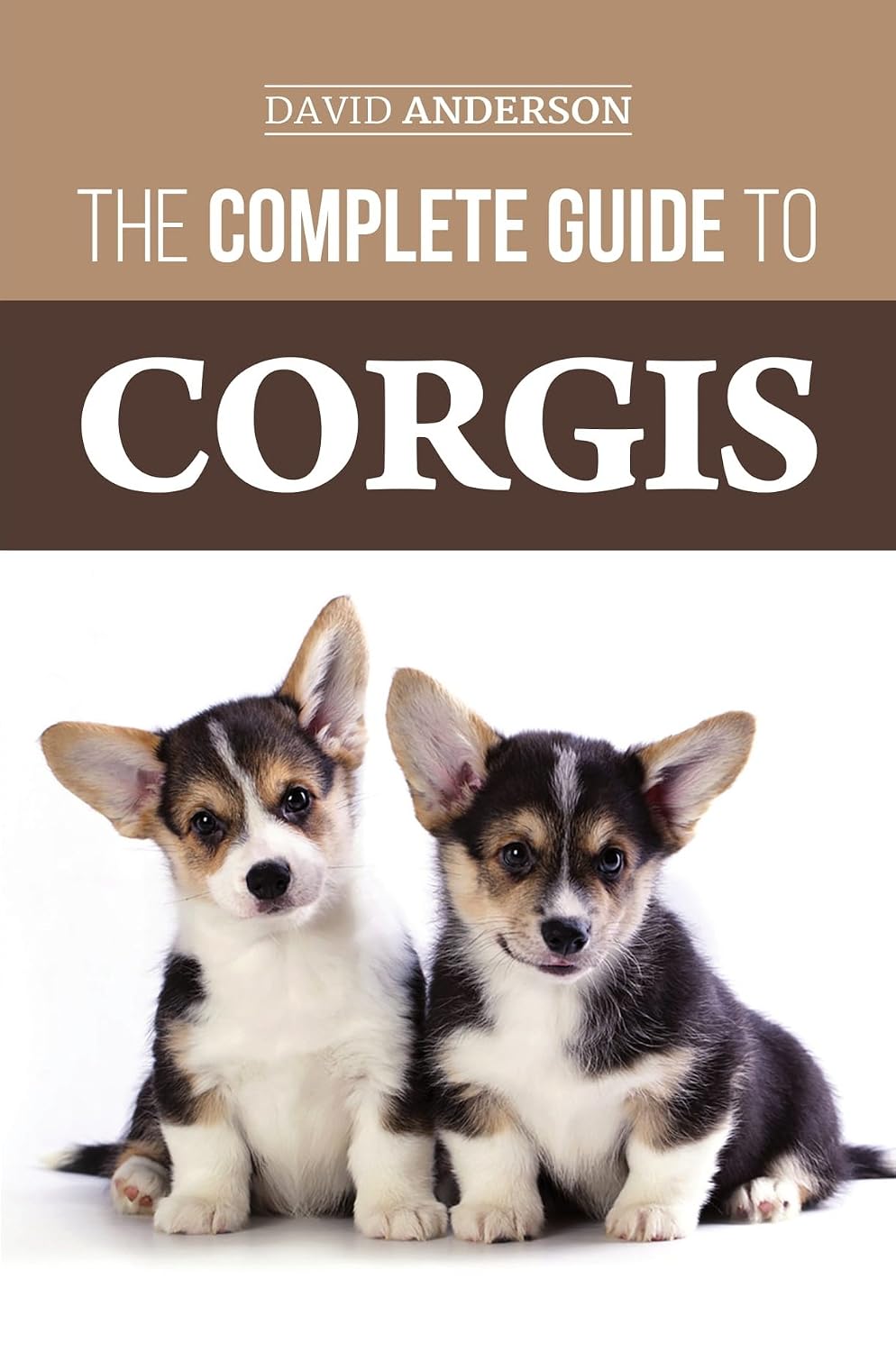 The Complete Guide to Corgis: Everything to know about both the ...