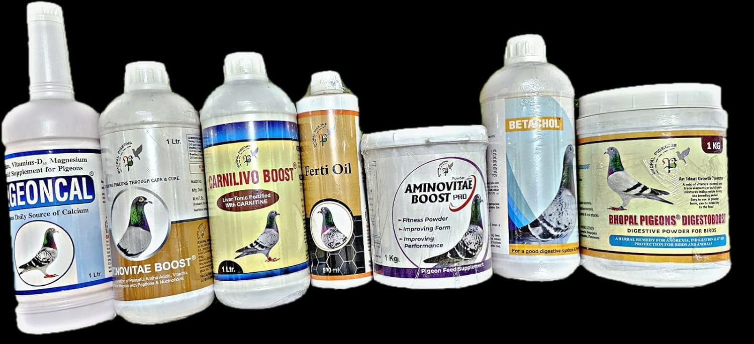 Bhopal Pigeons Racer Homer Pigeons Breeding Kit, 7 Supplements for ...