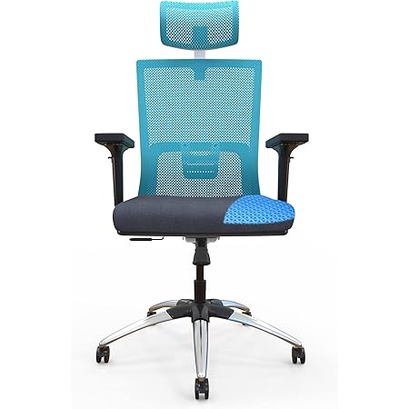 The Sleep Company SmartGRID Stylux Ergo High-Back Chair for Office ...