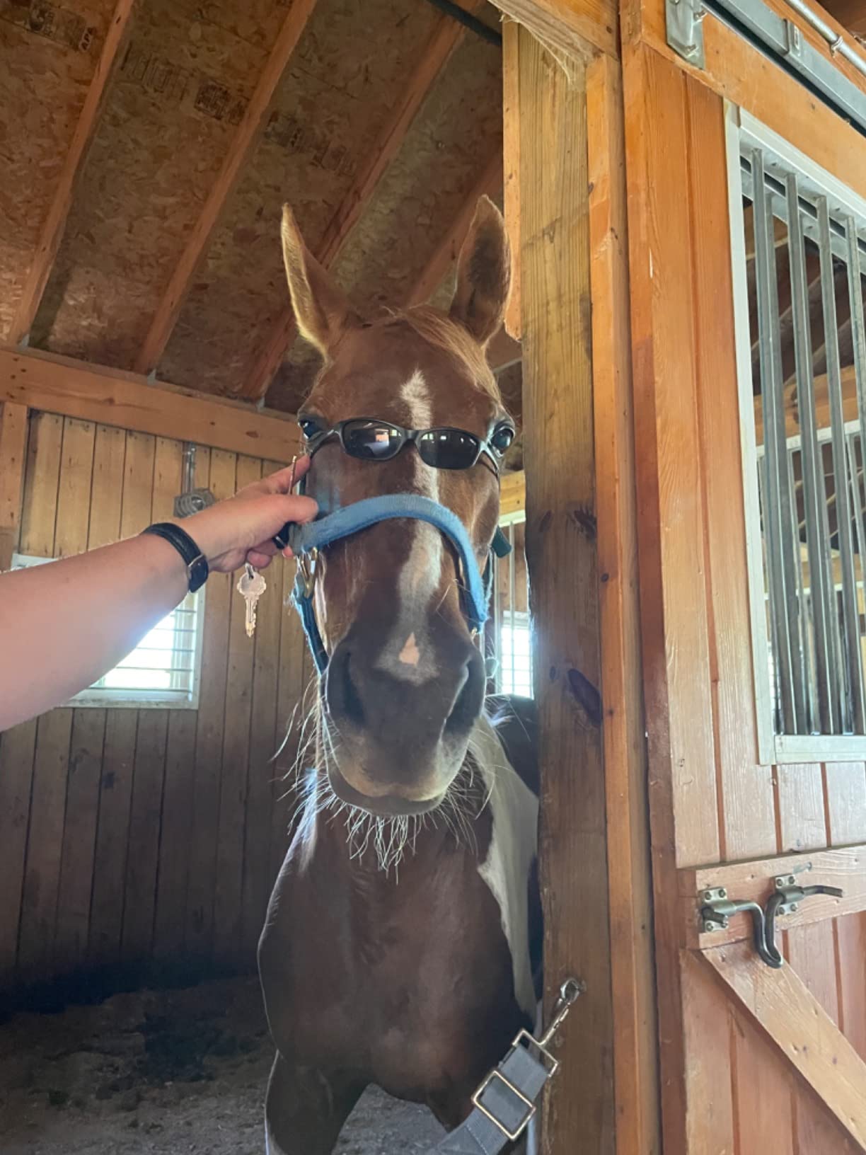 $4/mo - Finance Mare Magic 185034000018 Calming Supplements, 8 oz, Gray | Buy Now, Pay Later