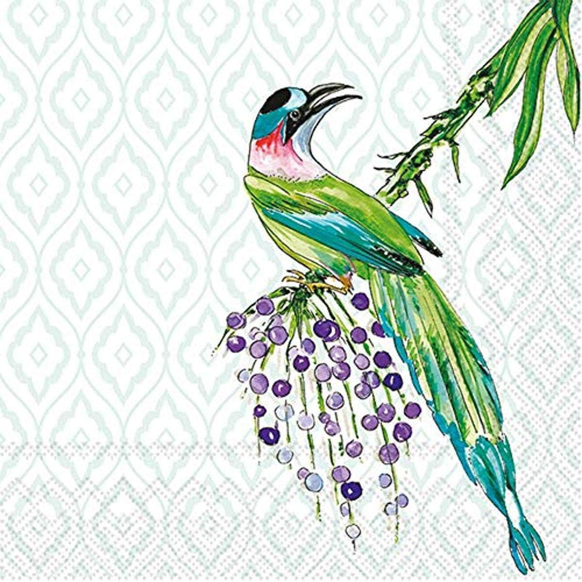 Amazon.com: IHR Ideal Home Range Cocktail Napkins Rosanne Beck ...