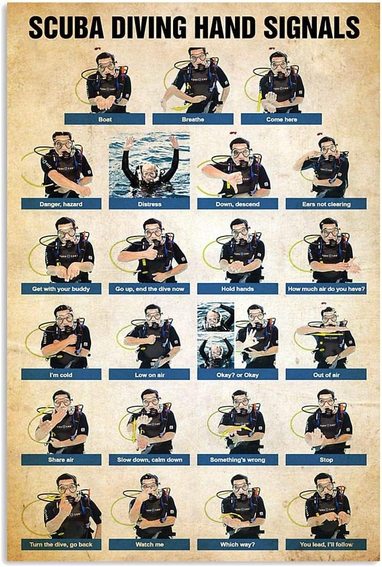 Amazon.com : Arctic Residents Scuba Diving Hand Signals Posters Scuba ...