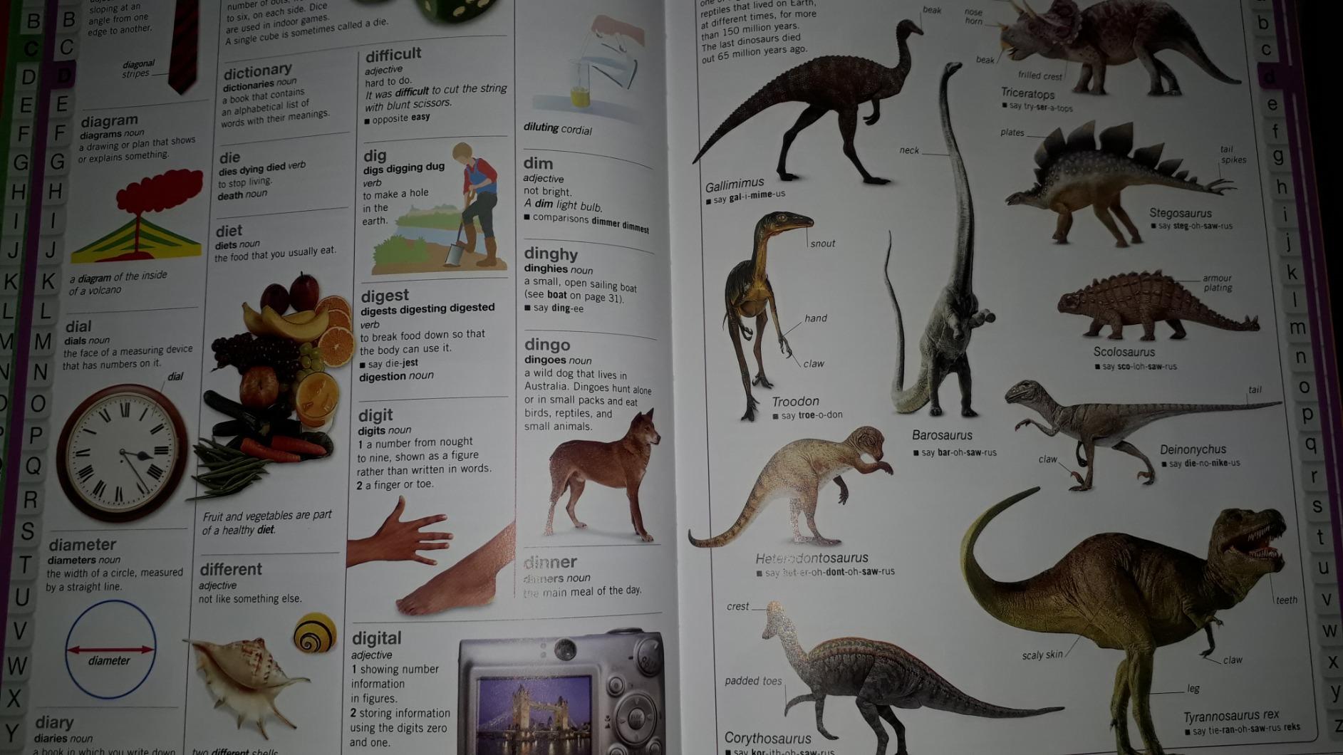 Children's Illustrated Dictionary : DK: Amazon.in: Books