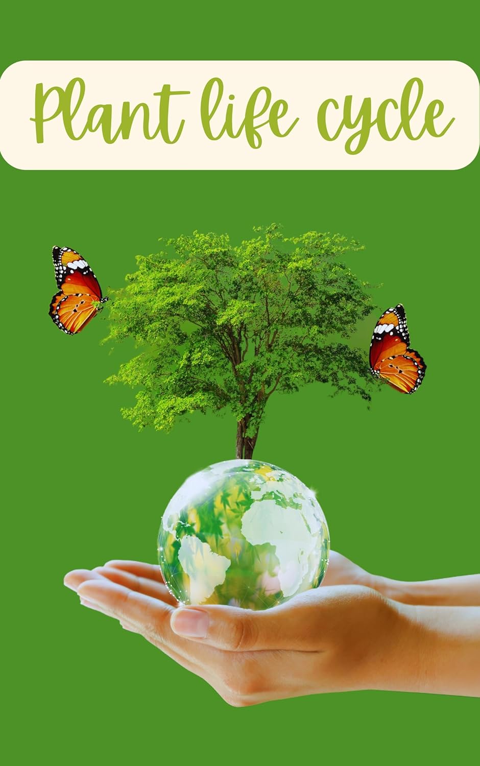 Plant life cycle for kids: From Seed to Full Grown Plant for 1st 2nd ...