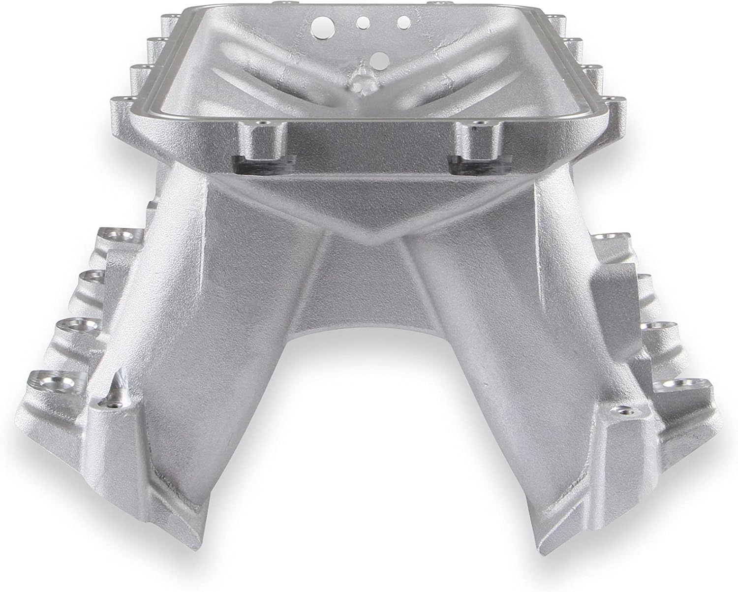 Buy Holley EFI 300-122 LS Hi-Ram EFI Manifold GM LS1/LS2/LS6 Online at ...