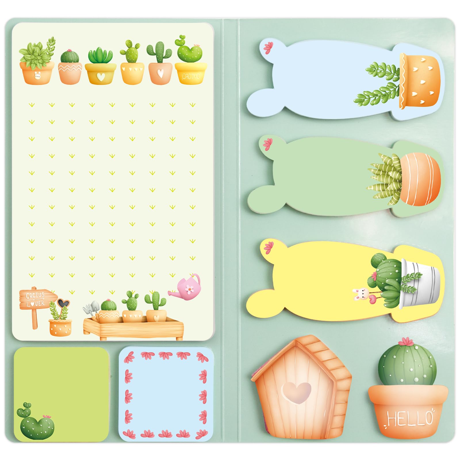 Cactus Gifts: Unique Souvenirs for Plant Lovers - CactusWay