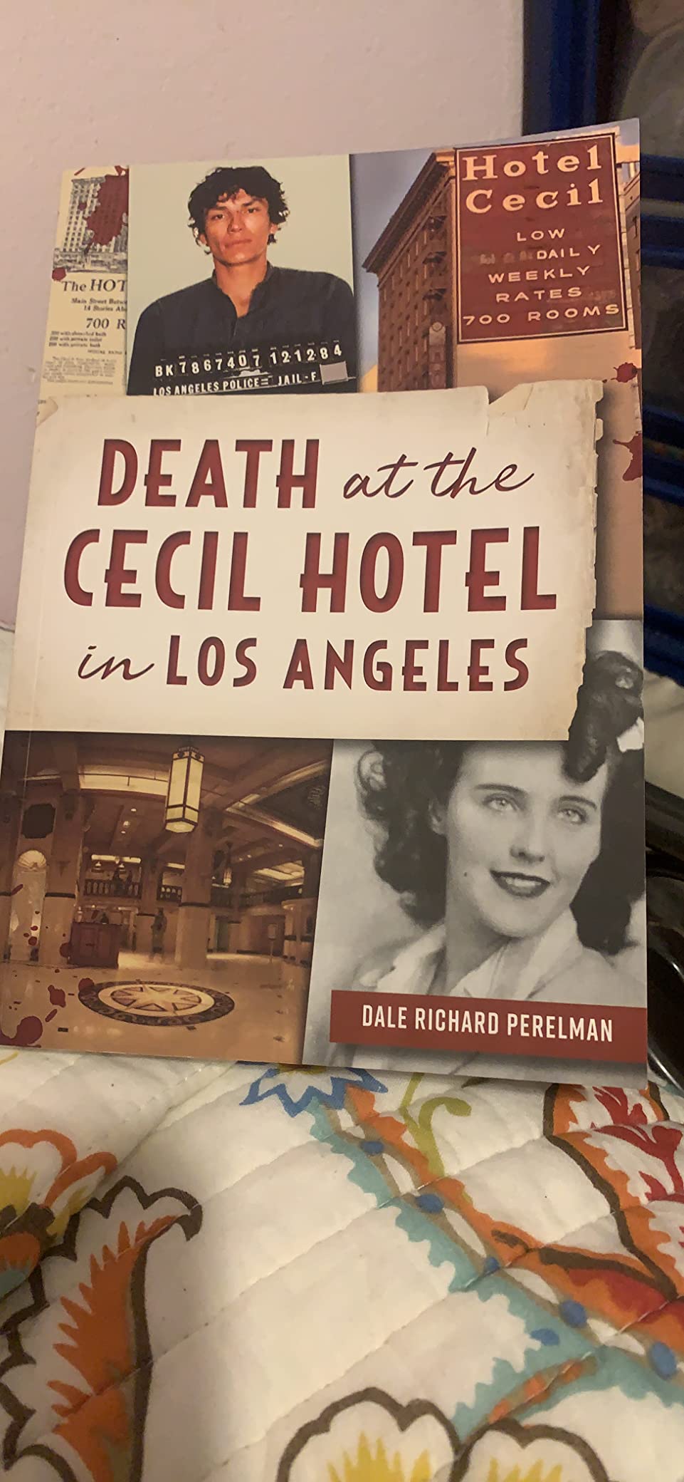Death at the Cecil Hotel in Los Angeles (True Crime): Perelman, Dale ...