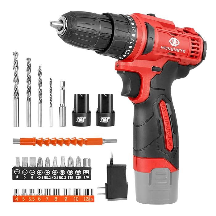 Buy 12V Cordless Drill Driver Kit with 2-Pack 2Ah Li-ion Batteries ...