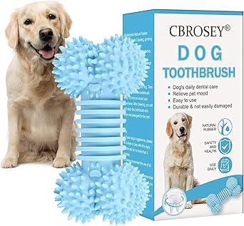 Anderson 22 in. Indoor/Outdoor Brushed Nickel Ceiling Fan - - Amazon.com