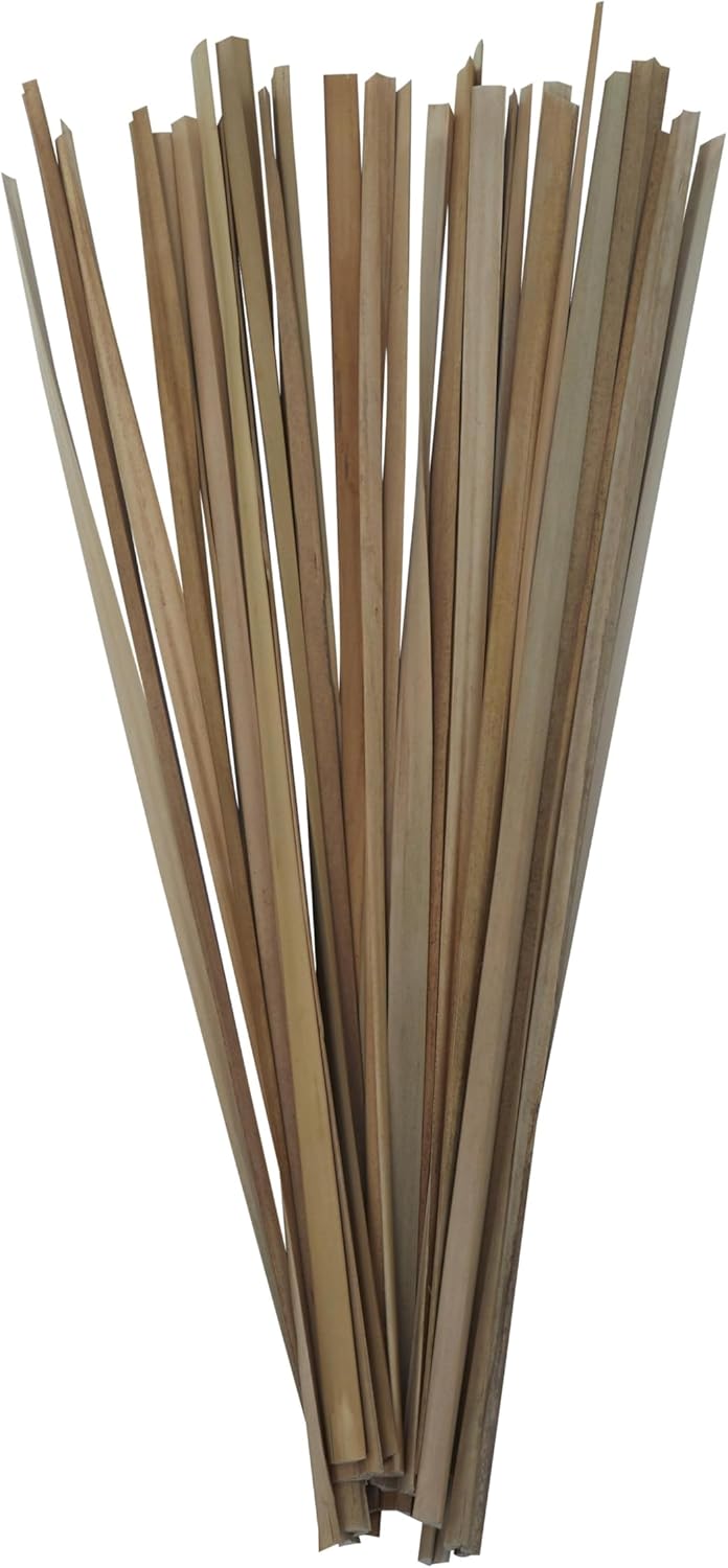 Amazon.com: Deco 79 Dried Plant Tall Sticks Natural Foliage with ...