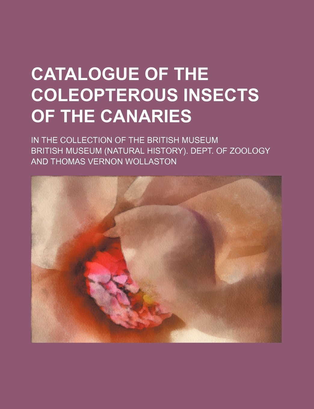 Amazon.co.jp: Catalogue of the Coleopterous Insects of the Canaries; In ...