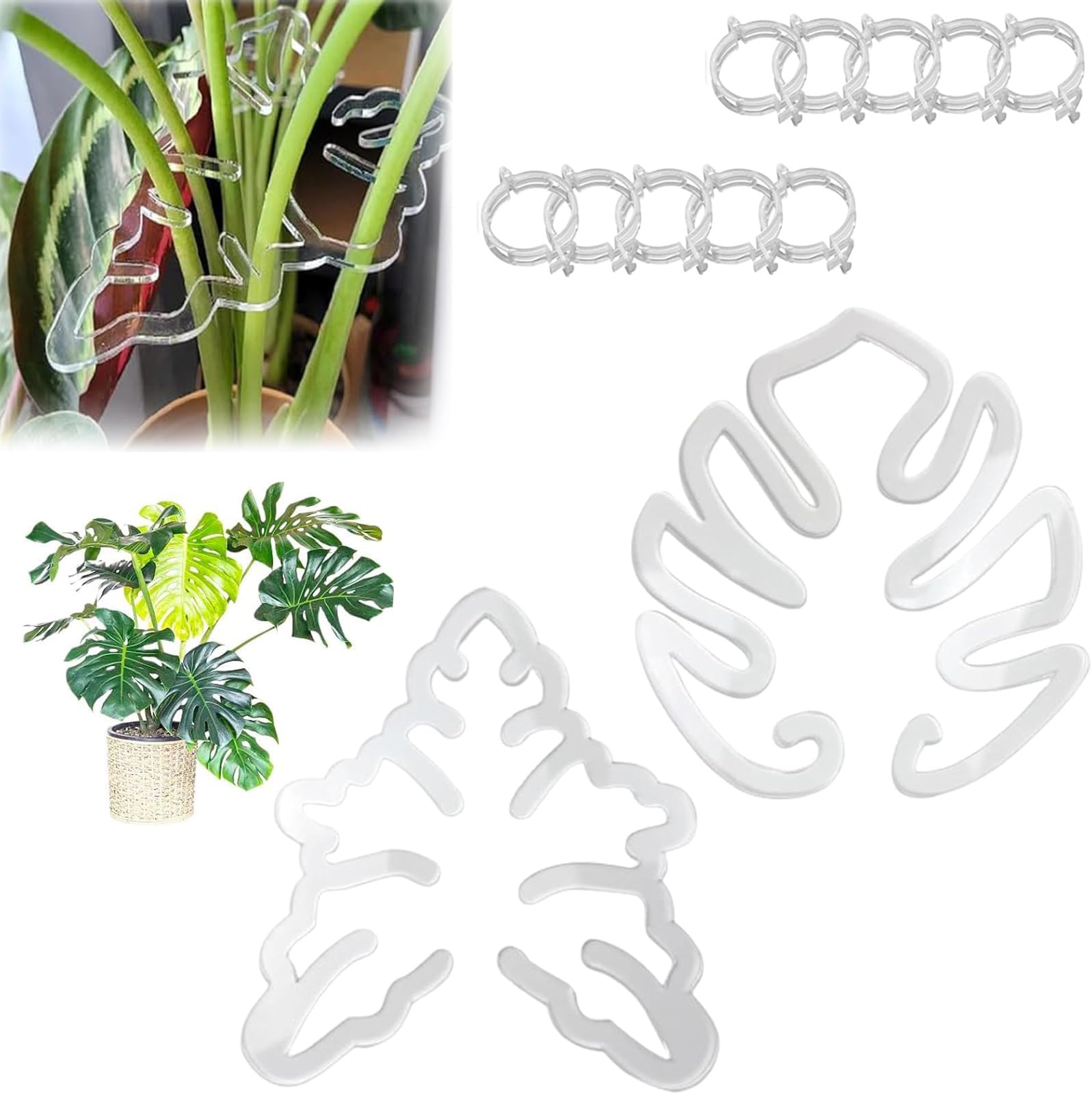 Amazon.com : Monstera Grapple, Monstera Leaf Plant Support, Turtle ...
