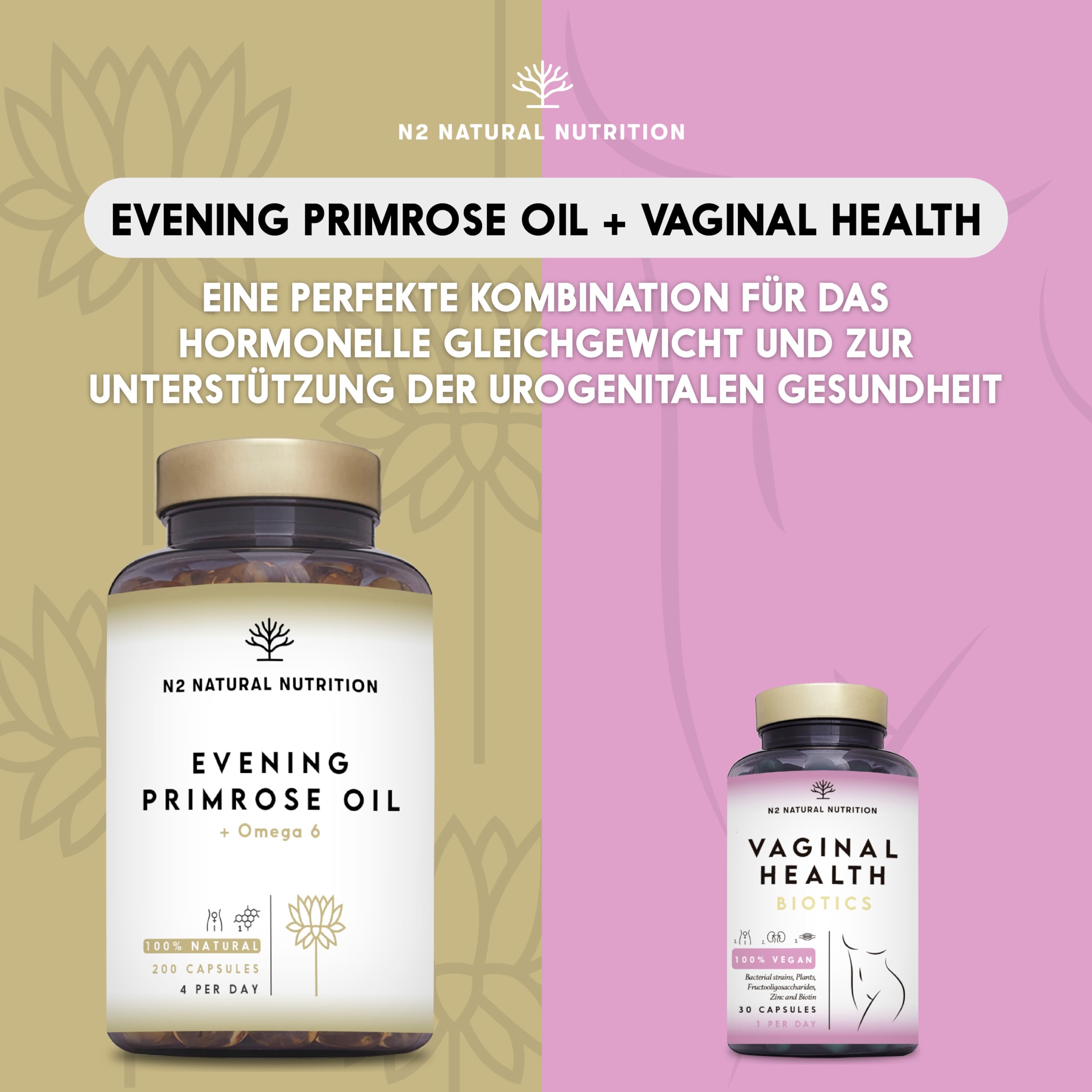Evening Primrose Oil Vaginally Oenothera Biennis Improves Pregnancy