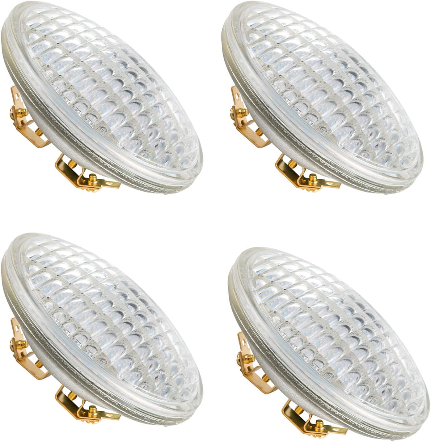 SHUWDKAR PAR36 LED Landscape Bulb 6W 12V-36V DC/AC 3000K Warm White ...