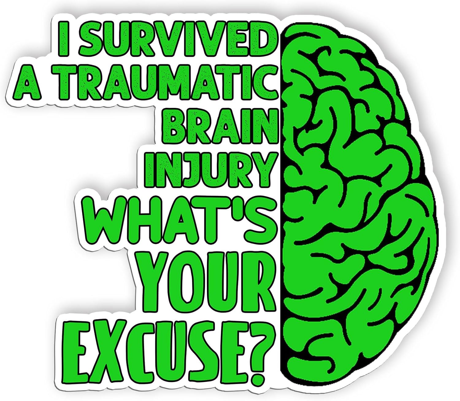 Amazon.com: I Survived A TBI What Your Excuse Stickers Traumatic Brain ...