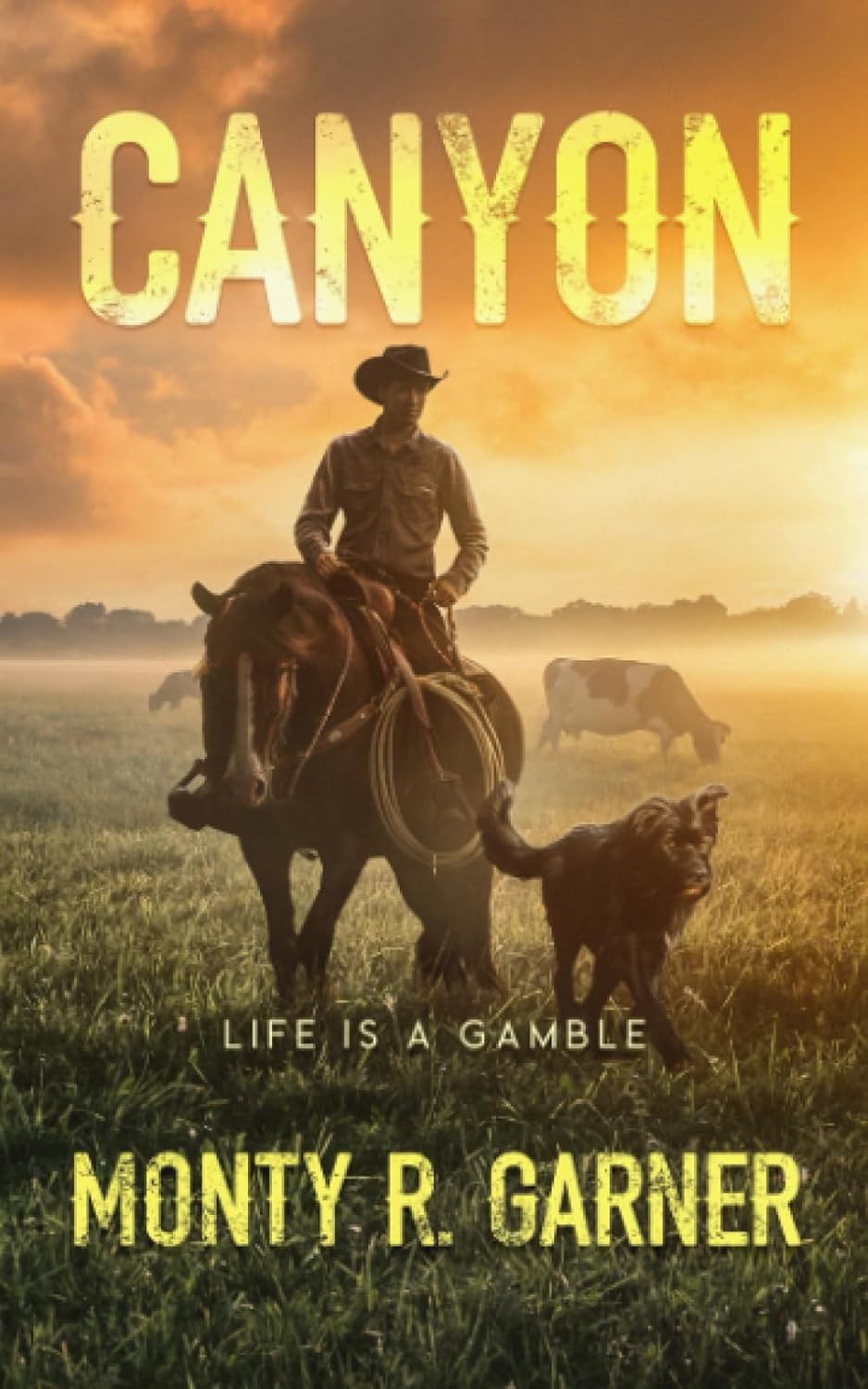 Canyon: Life is a Gamble: Garner, Monty R: 9798988309734: Amazon.com: Books