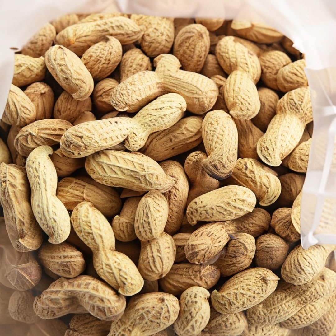Amazon.com : C.J. Dannemiller RAW Peanuts in the Shell, Fancy, 25 LB ...