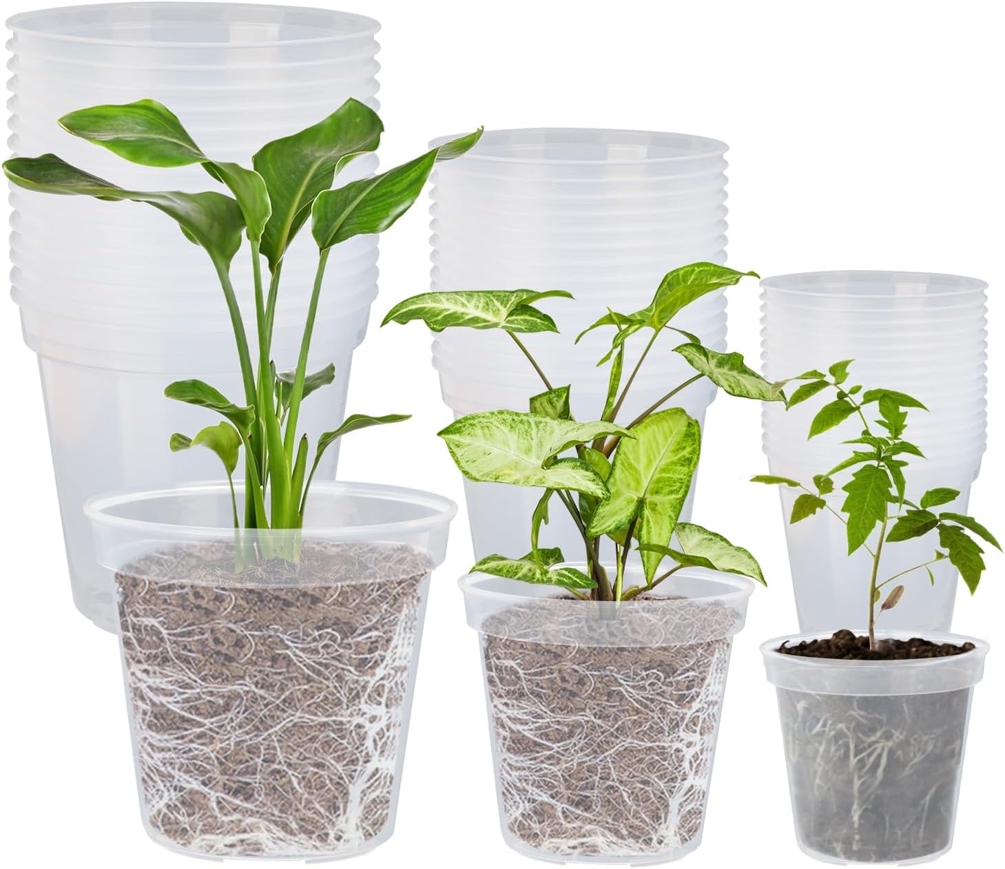 Amazon.com: IHDYPPEW 45 Pack Clear Nursery Pots, 3/4/ 5.2 Inch ...