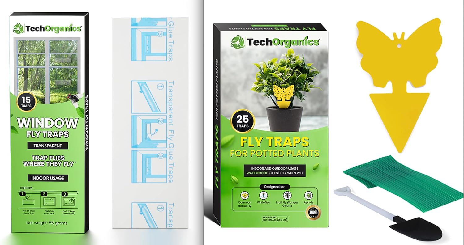 Amazon.com : Fruit Fly/Gnat Yellow Sticky Traps and Window Fly Traps ...