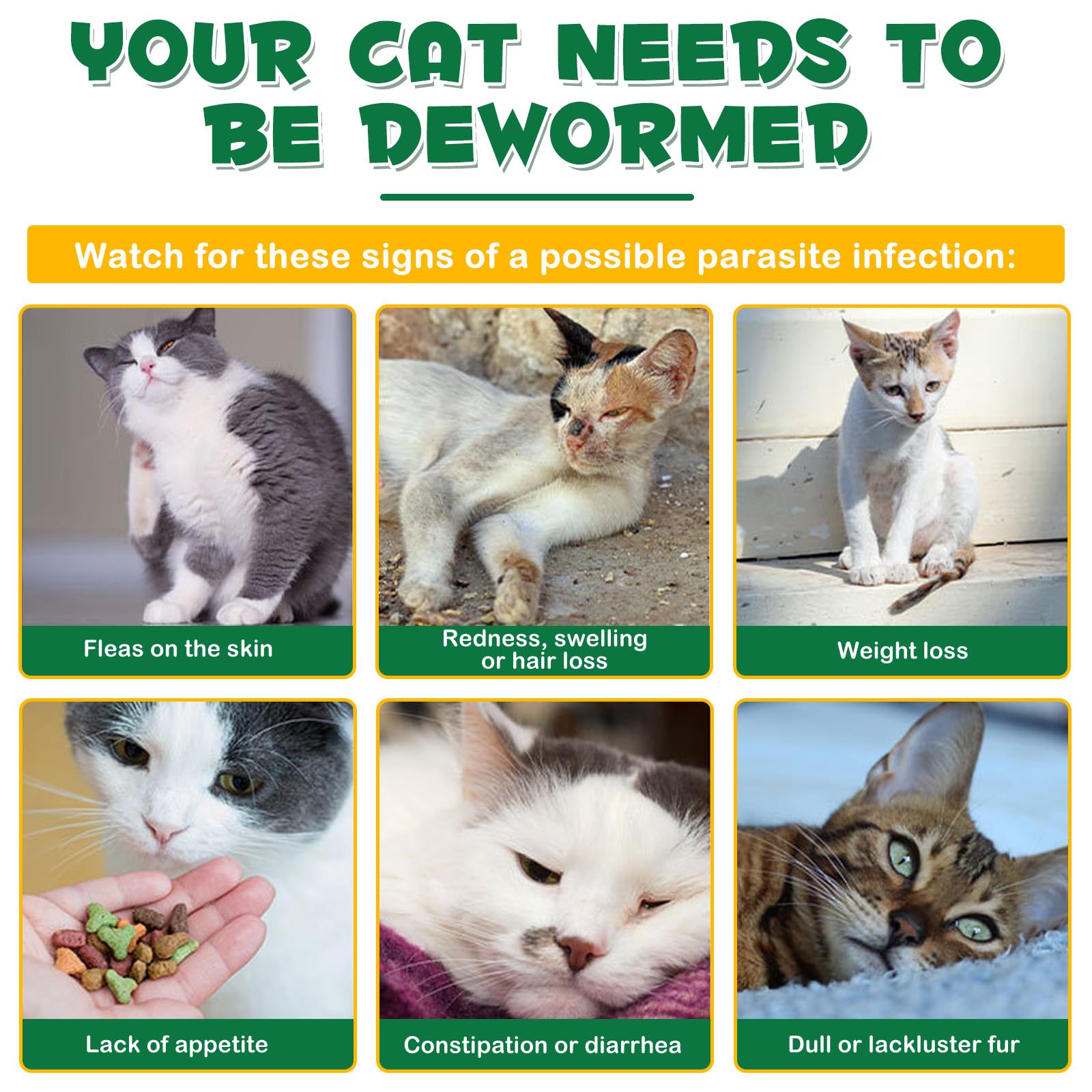 Topical Dewormer Drops For Cats 6P, Deworming Spot On For Cats, Flea ...
