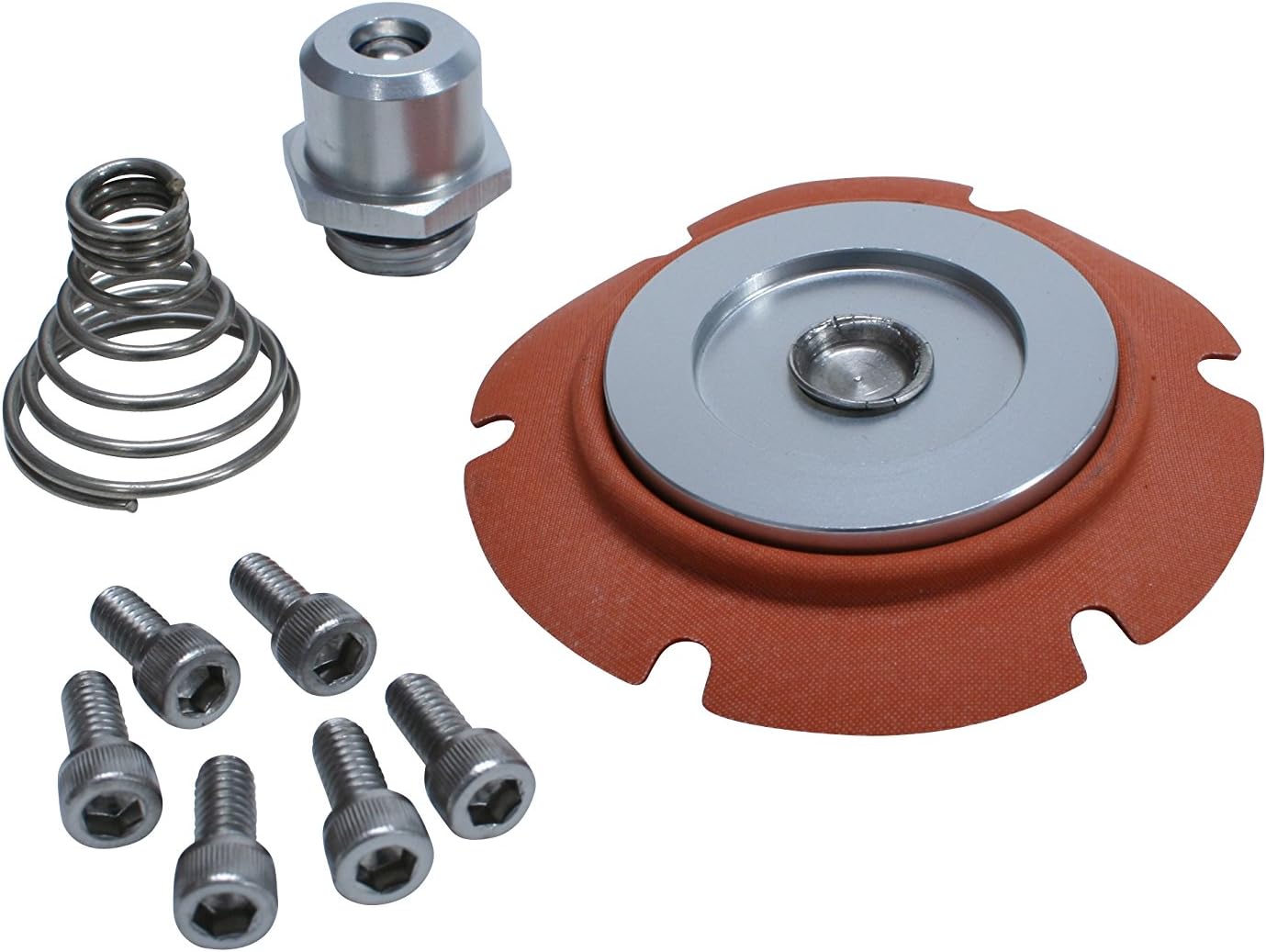 Amazon.com: Aeromotive 13022 Regulator Service Kit, Carbureted, 13222 ...