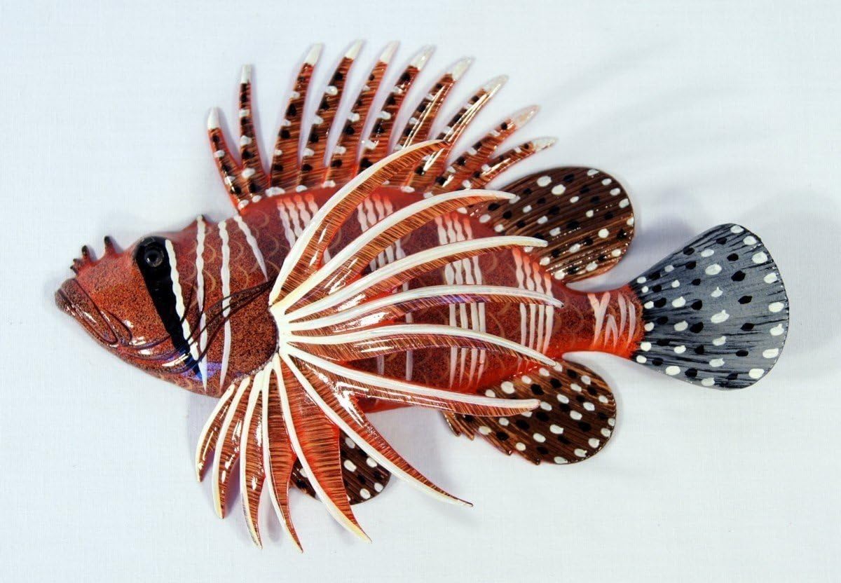 Amazon.com: Handpainted L-B Tropical Fish Replica Wall Mount Decor ...