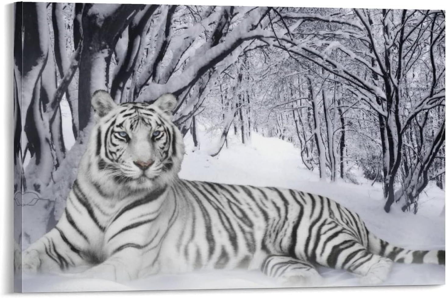 Amazon.com: White Tiger Canvas Wall Art Tiger Poster Winter Deep Forest ...