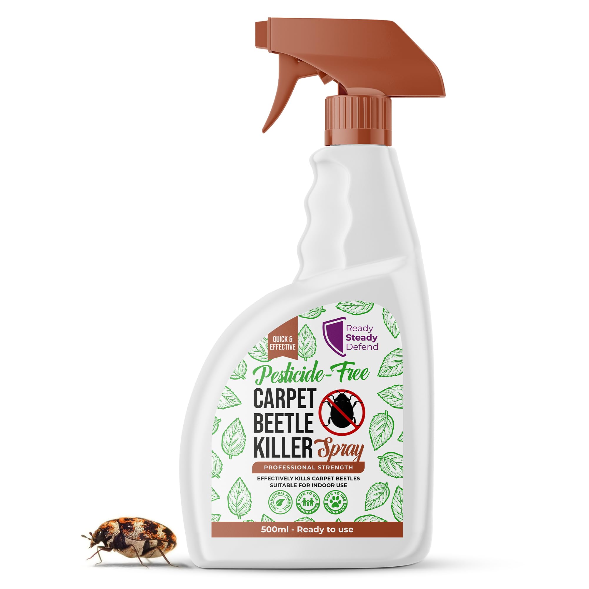 Carpet Beetle Killer Spray, 500ml - Polymer - Fast-Acting & Long ...