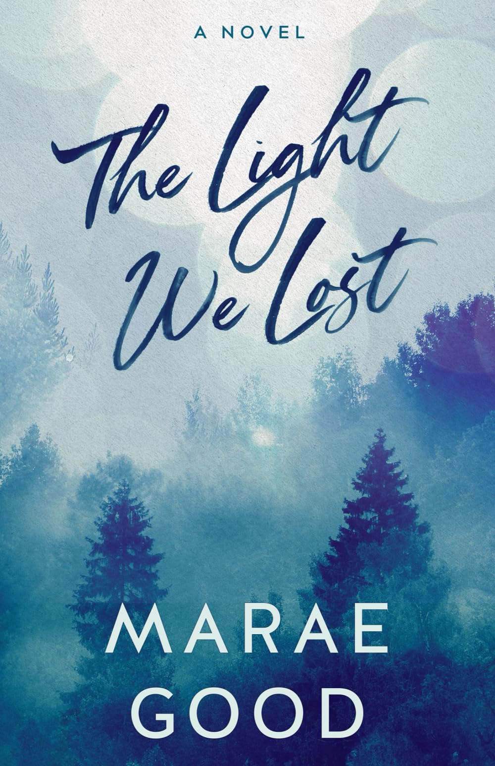 Amazon.com: The Light We Lost (Lost and Found in Wallowpine ...
