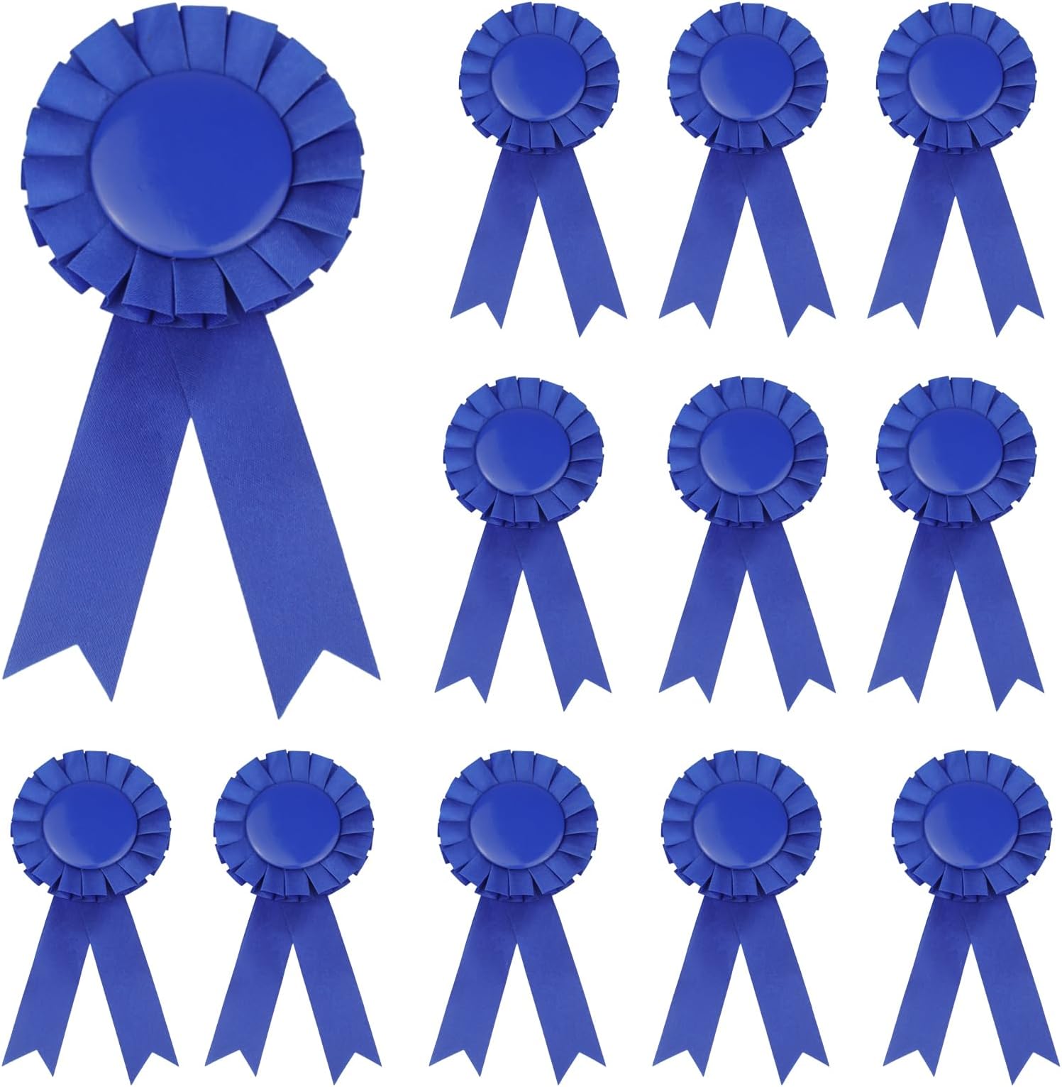 Amazon.com : 10 PCS Blank Award Ribbons, 1st Place Ribbon Winner ...