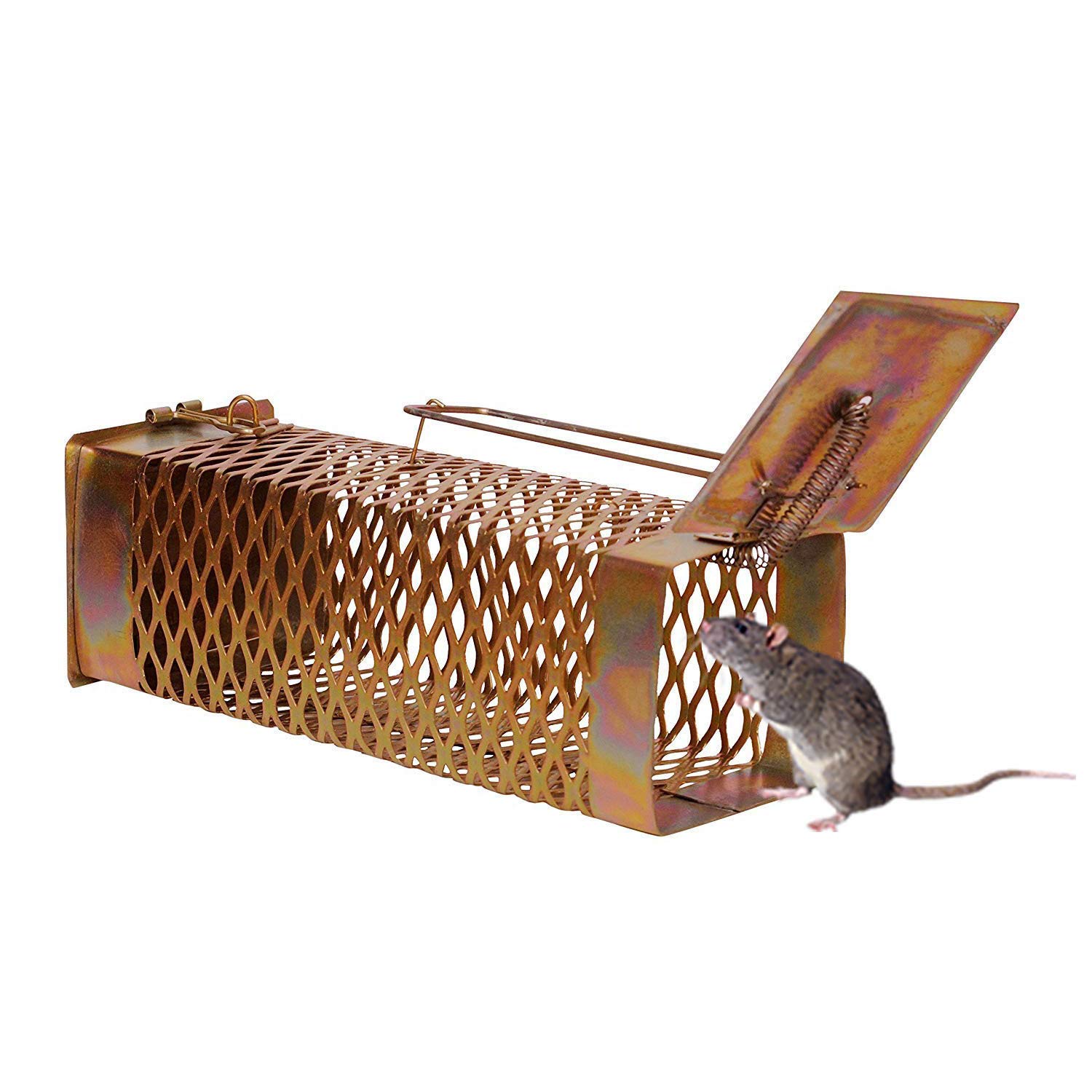 SkyWooden Rat Trap Mouse Trapper Rodent Traps That Work for Indoor and ...