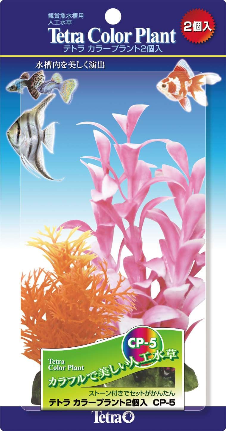 Amazon.com: Tetra (tetra) Color Plant 2 Pack Cp – 5 : Everything Else