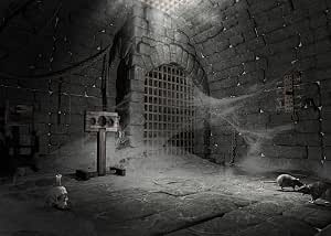 Amazon.com : BELECO 12x8ft Fabric Medieval Dungeon Torture Chamber ...