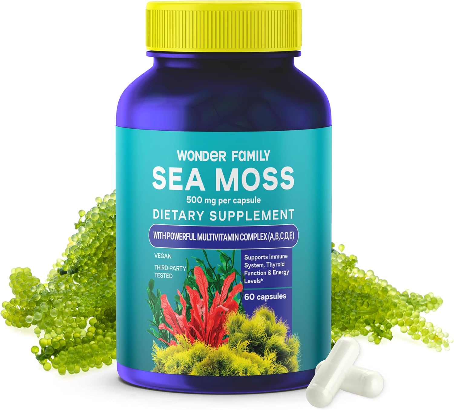 Amazon.com: Wildcrafted Irish Sea Moss Capsules - Advanced with Biotin ...
