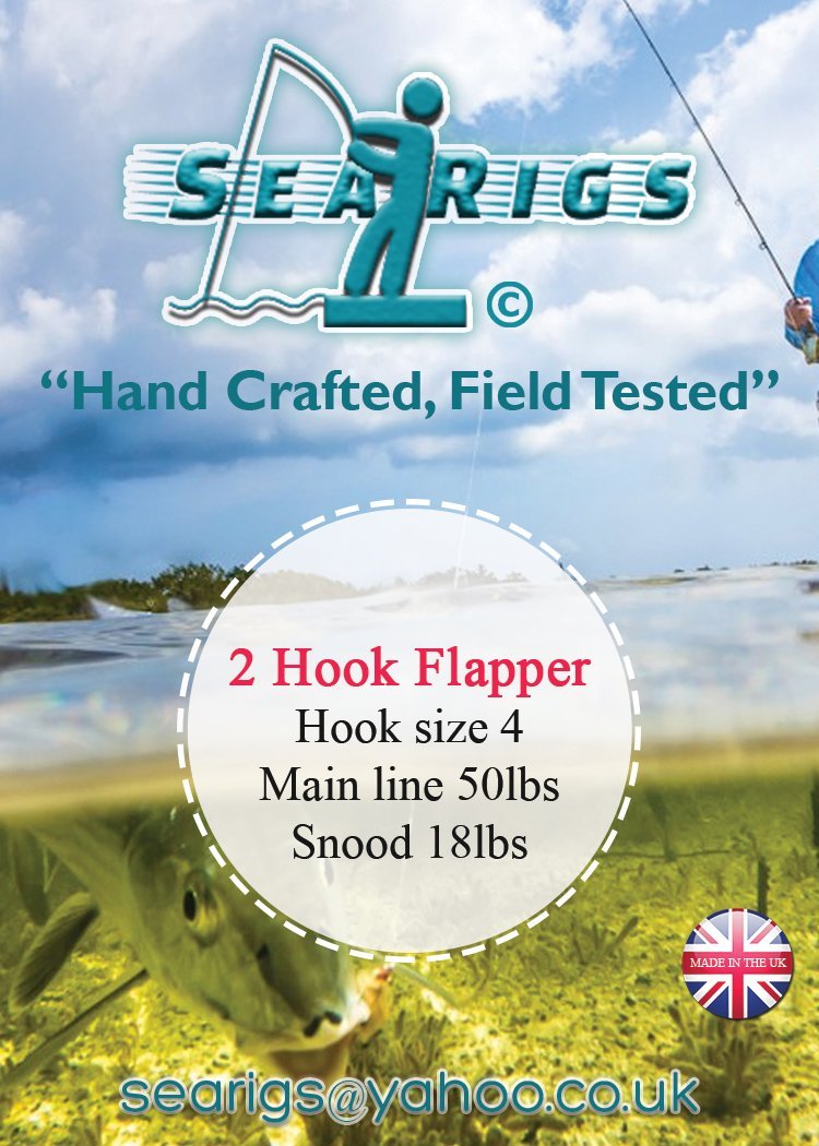 Buy searigs Sea Fishing Rigs, 2 Hook Flapper, Bass, Cod, Whiting and ...
