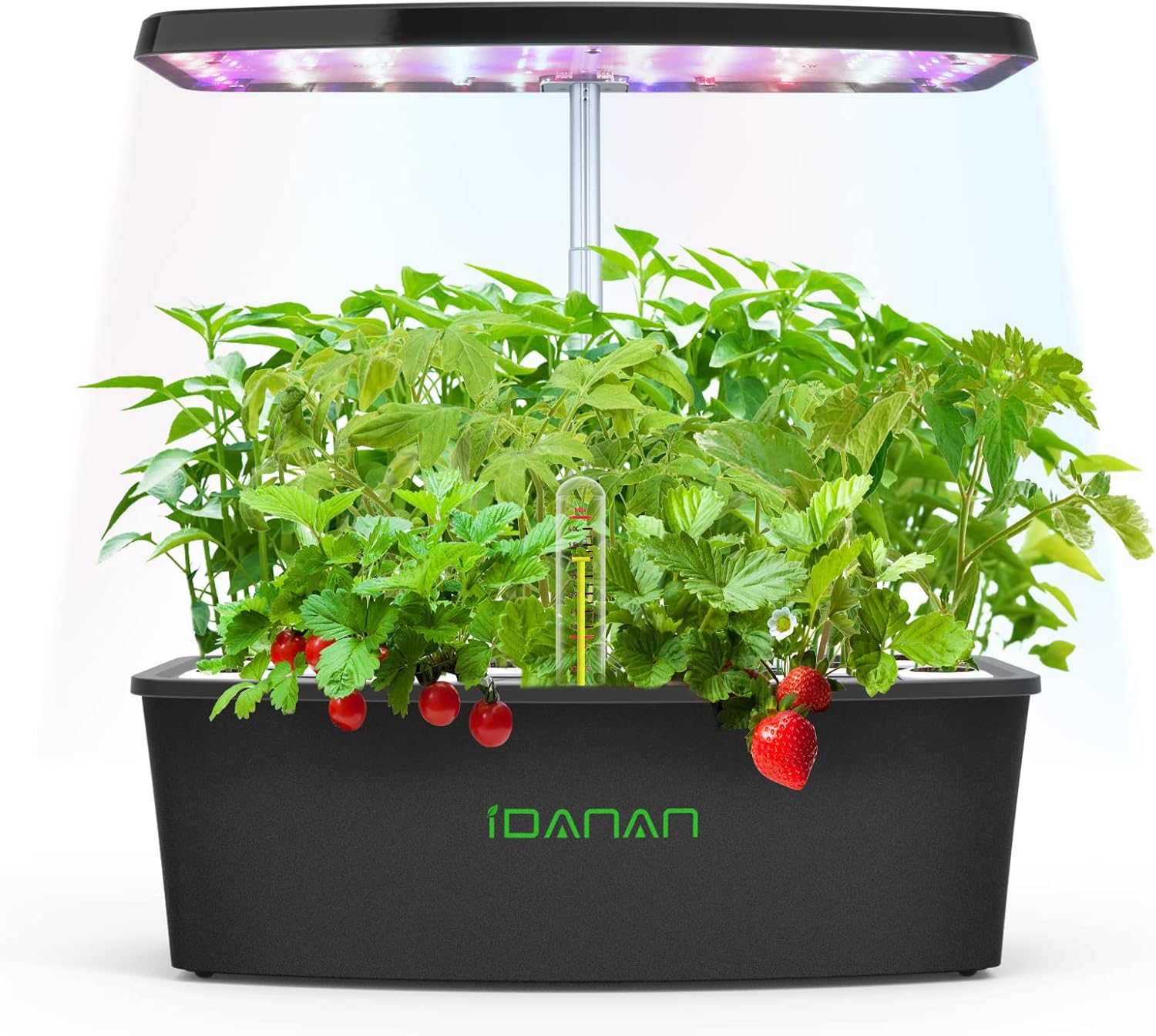 Buy Herb Garden Kit Indoor - 12 Pods Hydroponics Growing System Indoor ...