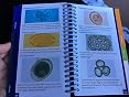 Mosby's Veterinary PDQ: 9780323240666: Medicine & Health Science Books ...