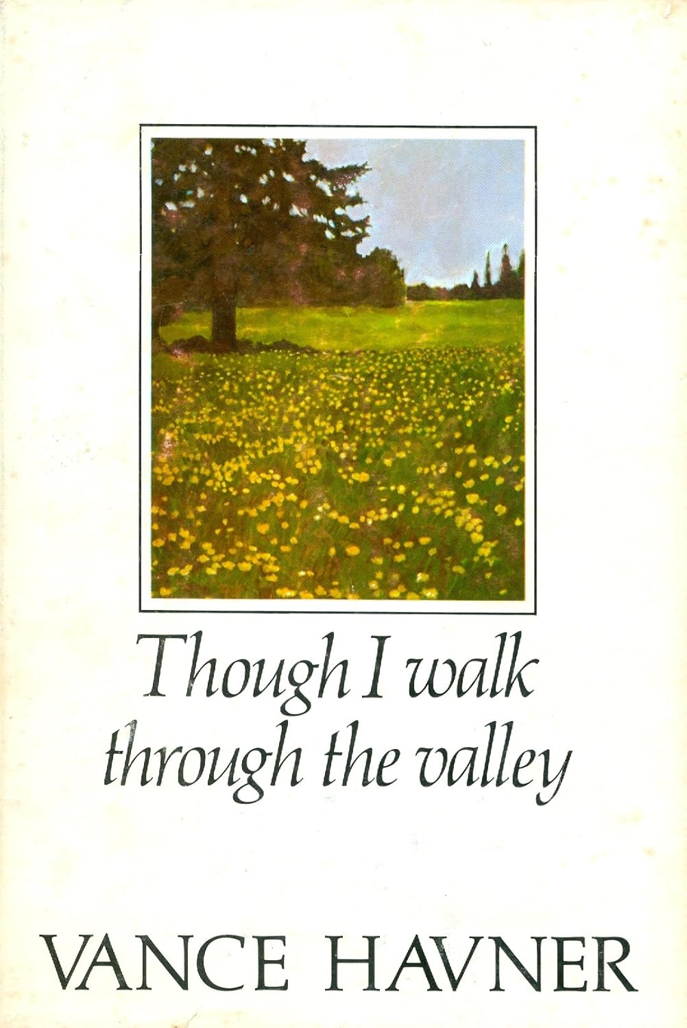 Though I Walk Through the Valley: Havner, Vance: 9780800706548: Amazon ...