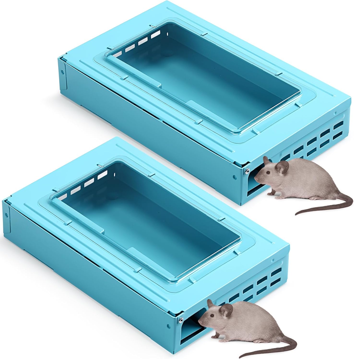 Amazon.com: Kittmip 2 Pack Multi Catch Mouse Trap Clear Top Humanized ...