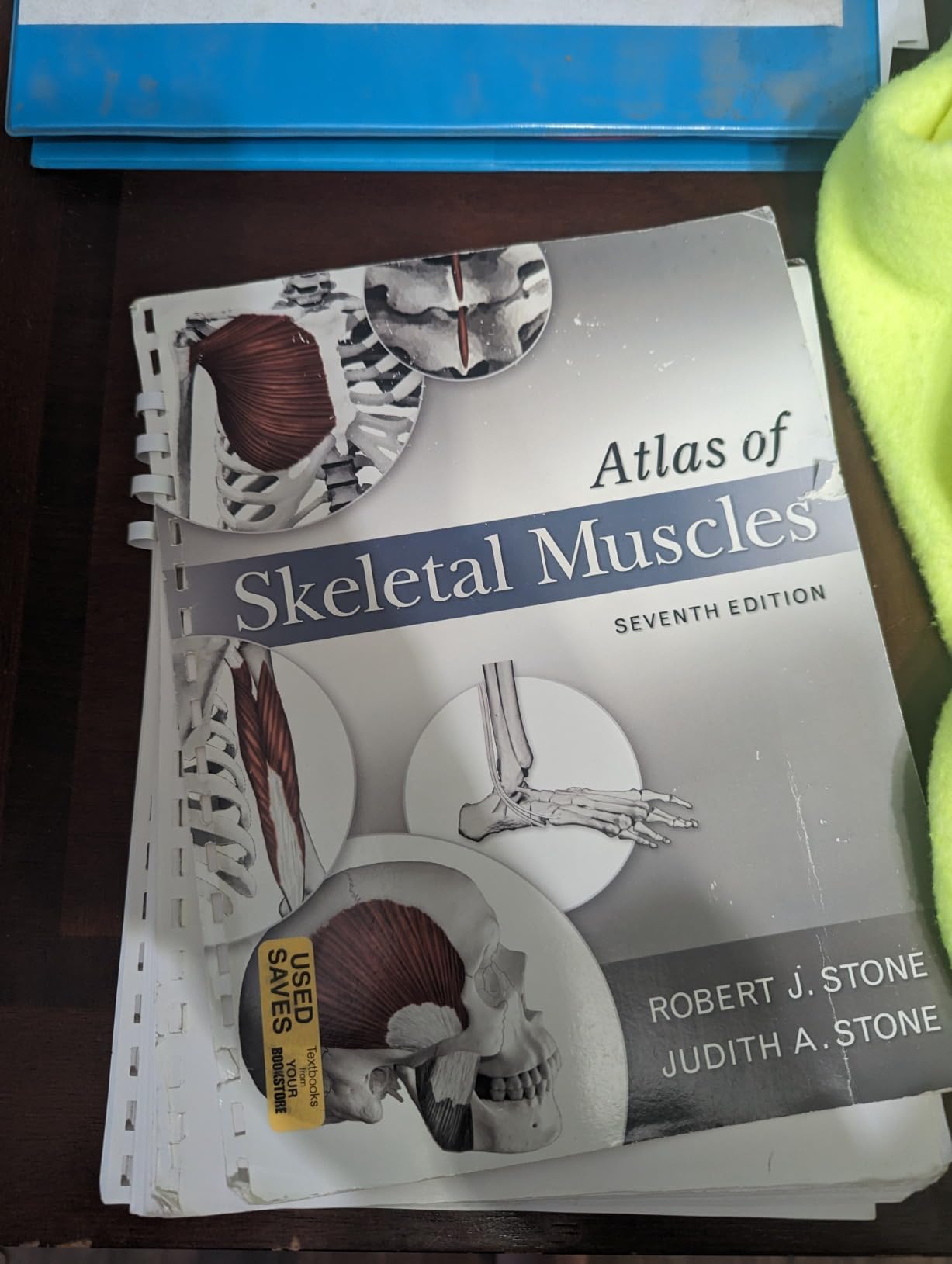 Atlas Of Skeletal Muscles: Robert J. Stone, Judith A. Stone ...