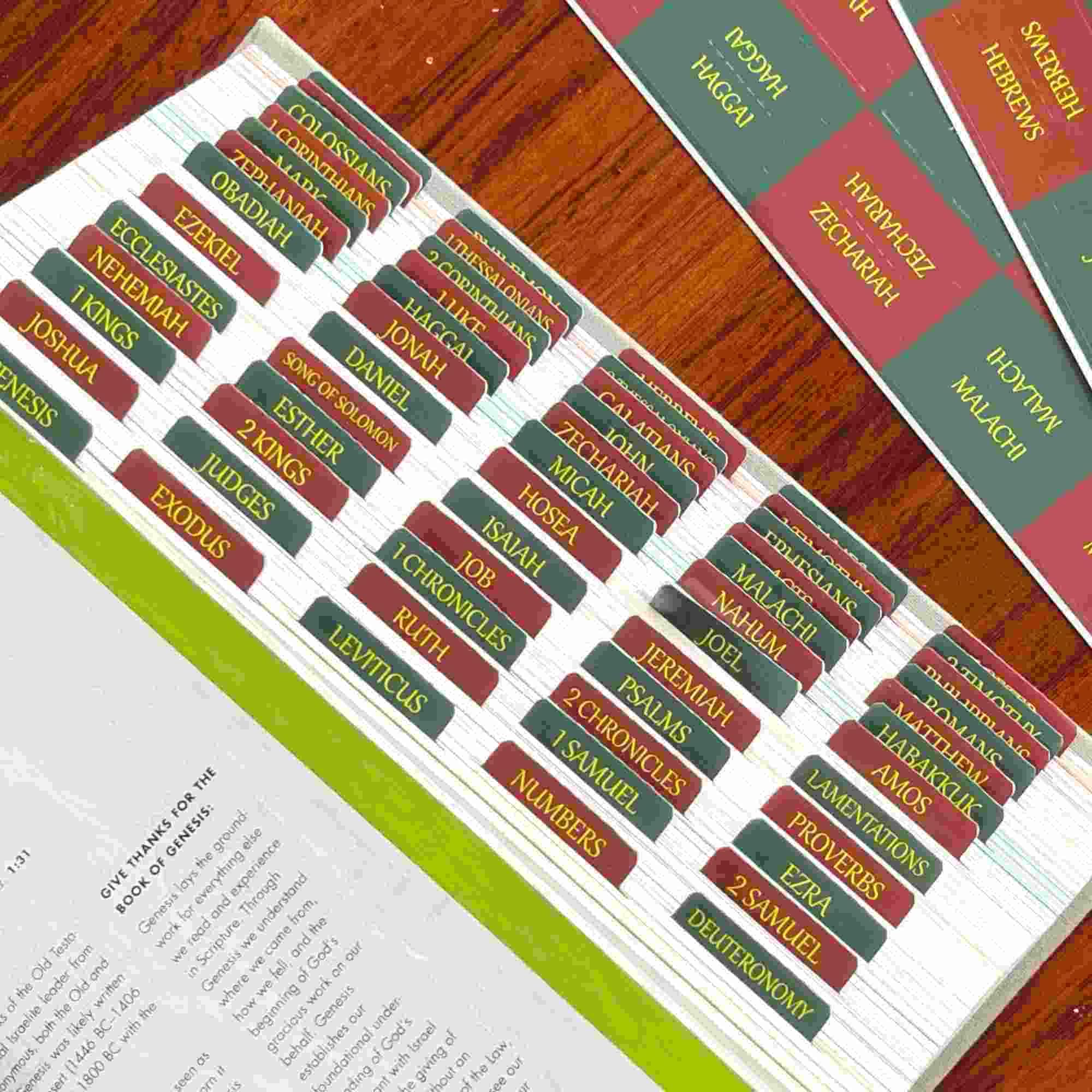 Reposition Laminated Bible Tabs, Large Print Stickers, Easy to Read & Apply Bible Tabs for Women ...