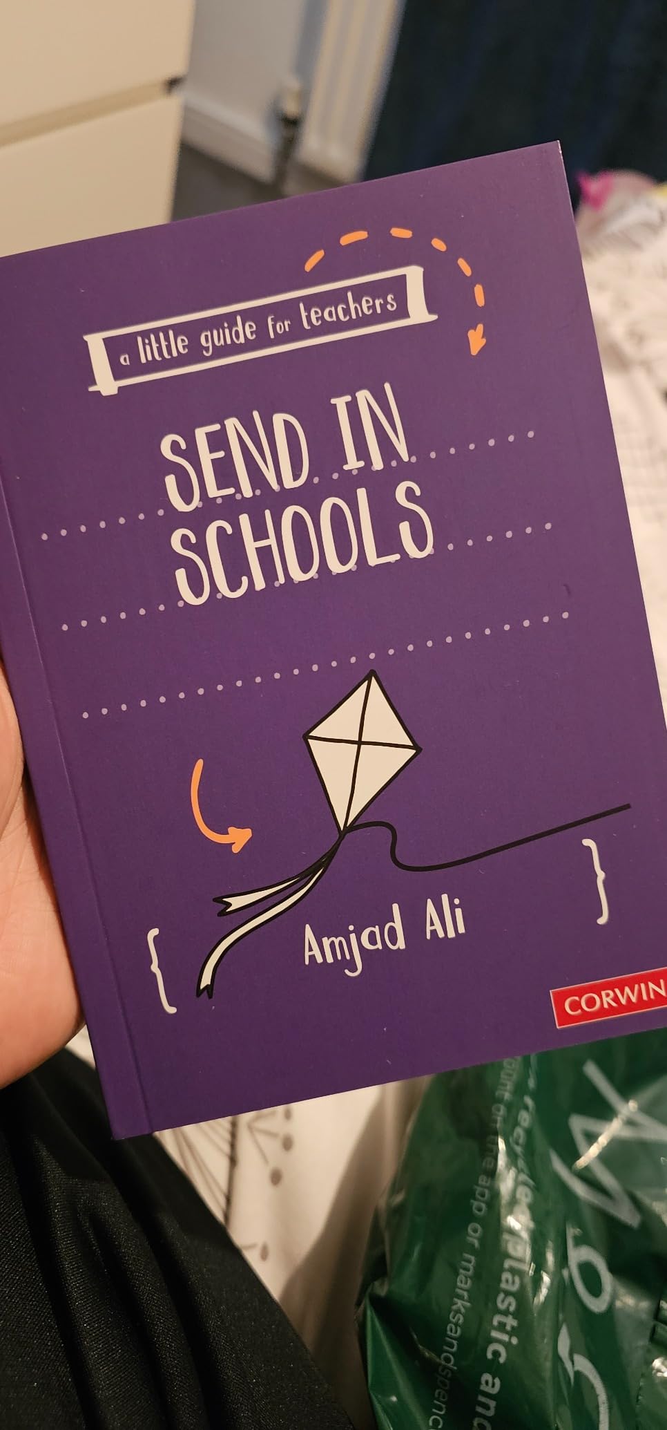 A Little Guide for Teachers: SEND in Schools : Ali, Amjad: Amazon.co.uk ...