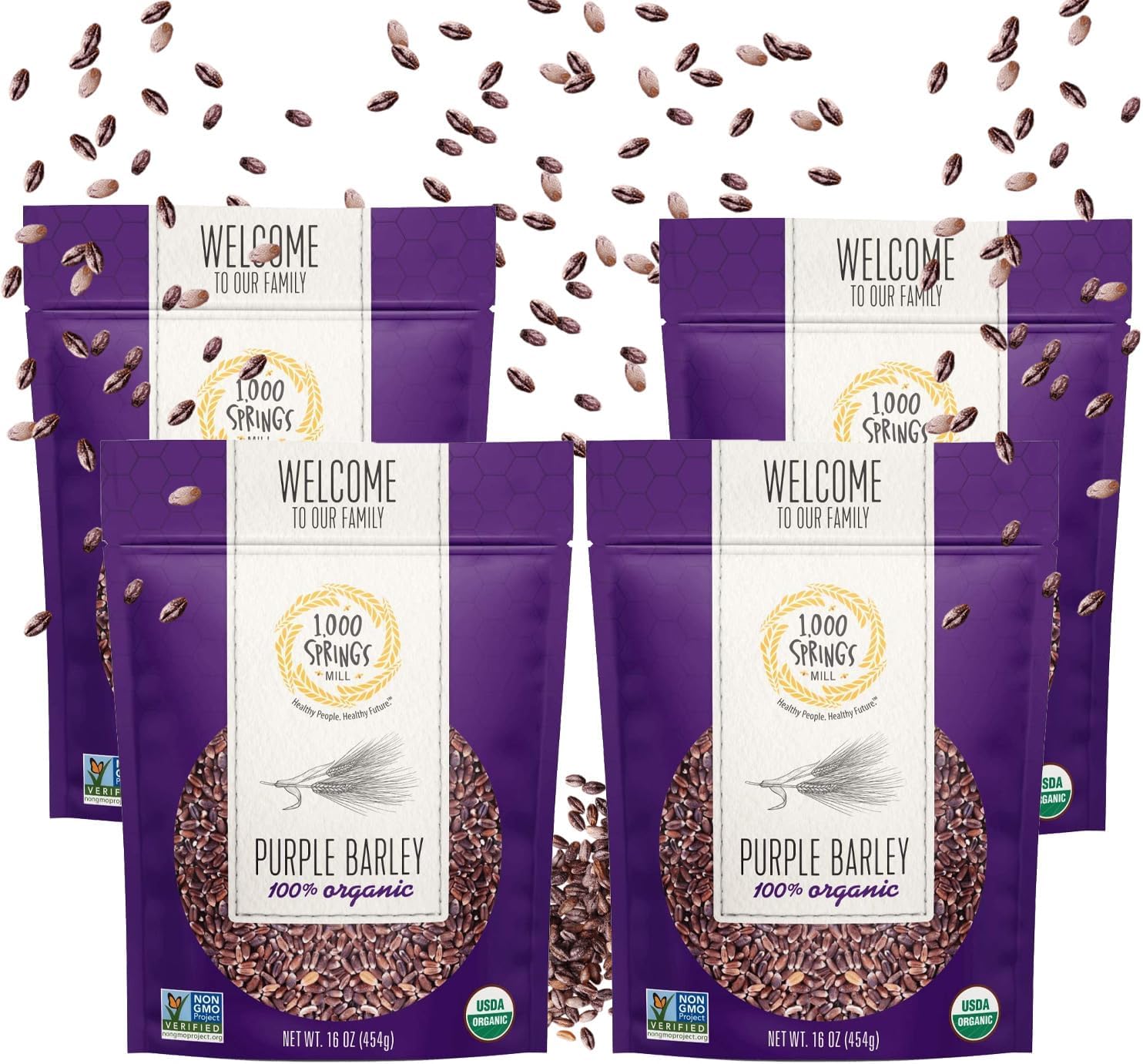Amazon.com : Goya Barley, Dry, 1 Pound Bag : Grocery & Gourmet Food